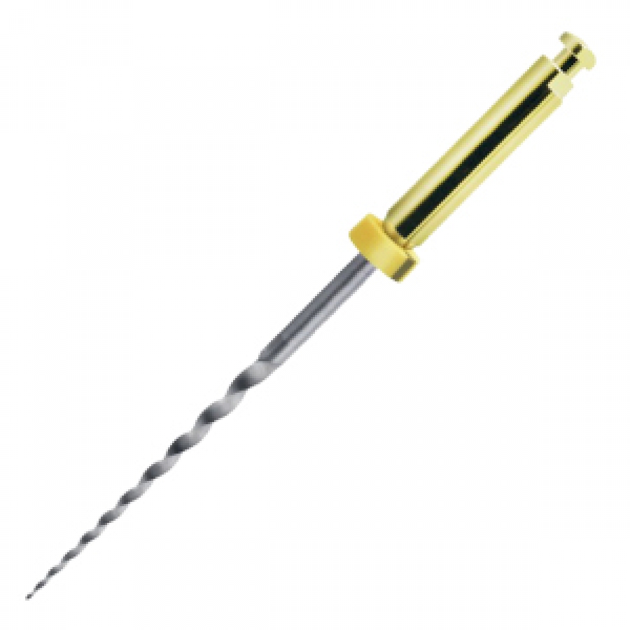 Dentsply, Maillefer, Protaper GOLD SX, 19mm, 6 vijlen per verpakking